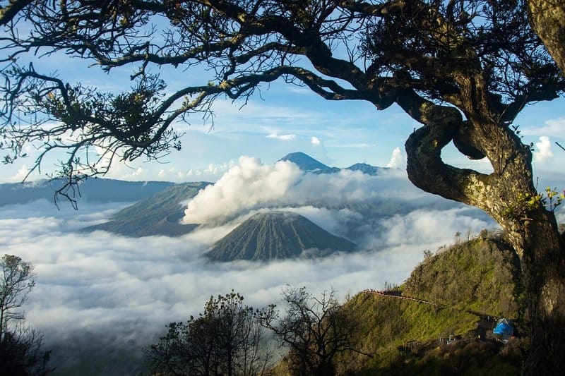 Mau Menikmati Panorama Gunung Bromo yang Indah? Nih 6 Tips buat Kamu