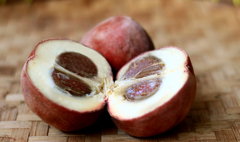 Buah Mentega, Buah Langka yang Punya Banyak Manfaat untuk Kesehatan