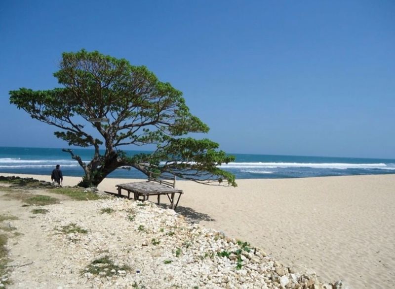 5 Wisata Pantai di Jogja yang Bikin Kangen Sama Suasananya
