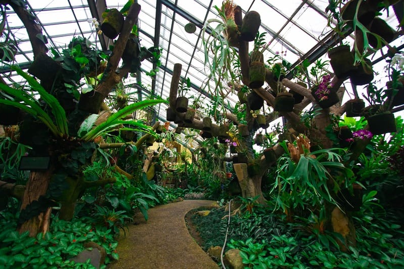 5 Spot Instagramable yang Bisa Dikunjungi Saat Berkunjung ke Kebun Raya ...