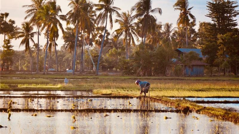 Surga di Timur Indonesia, Inilah 5 Wisata di Pulau Sumba yang Wajib ...
