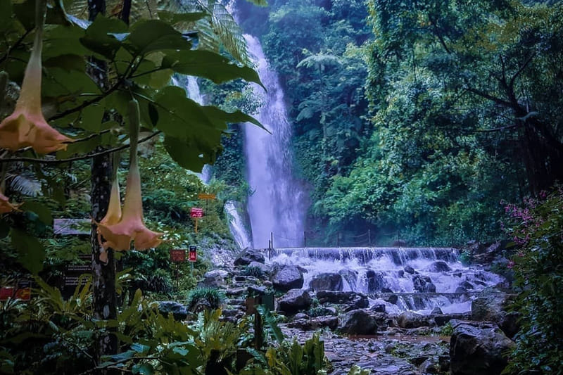 Liburan Sambil Healing? Yuk, ke Curug di Bogor Ini!