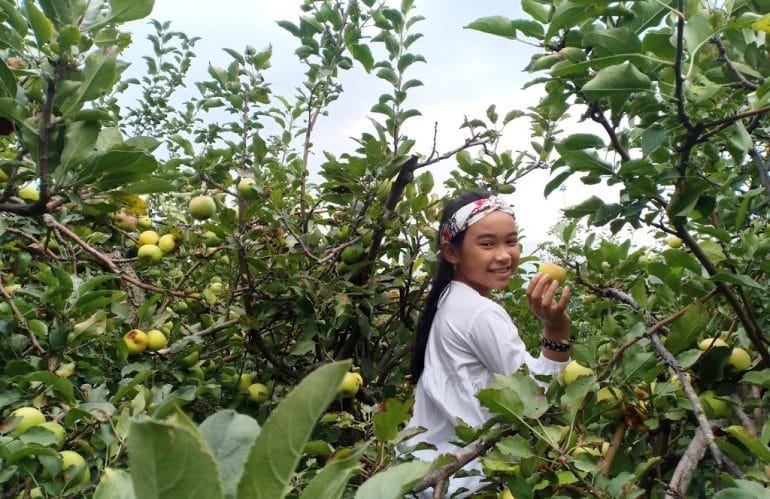 Urbanview Hotel Terbaik di Malang, Pilihan Affordable dan Asik buat ...