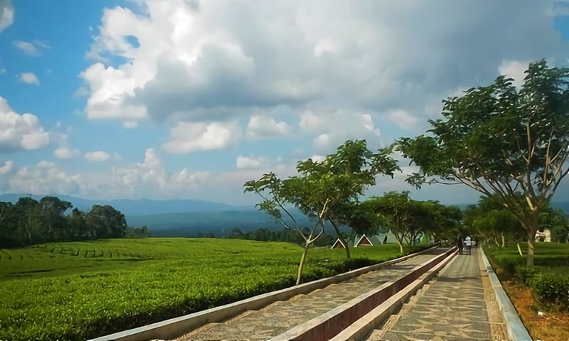 Pesona Wisata Pagar Alam yang Masih Alami, Coba ke Sini!