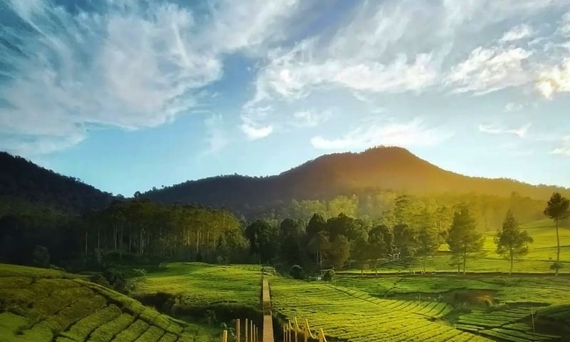 Wisata Alam Pangalengan, Pilihan Hemat Buat Healing dan Refreshing!