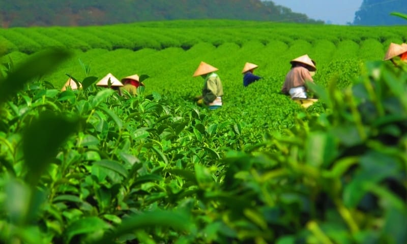 Destinasi Wisata di Ngawi, Hidden Gem Terbaik di Jawa Timur