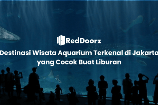 Destinasi Wisata Aquarium Terkenal di Jakarta yang Cocok Buat Liburan