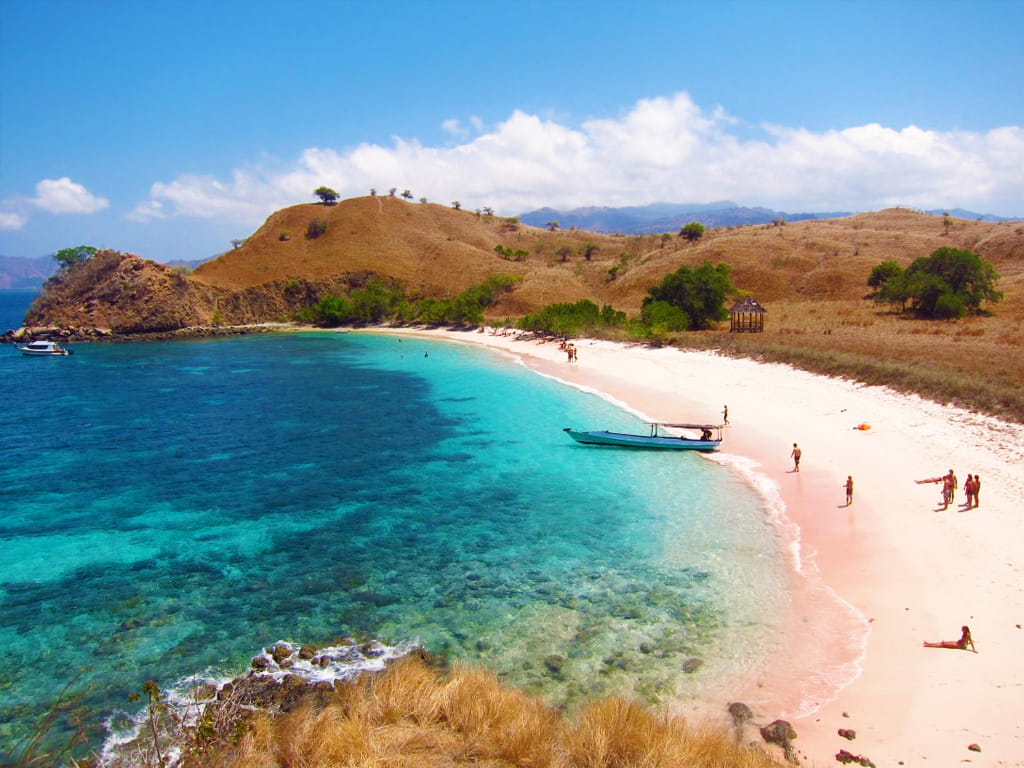 Pulau Komodo, Beberapa Hal yang Perlu Anda Ketahui Sebelum Ke Sana