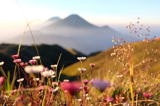 9 Gunung Terindah di Indonesia yang Mempesona