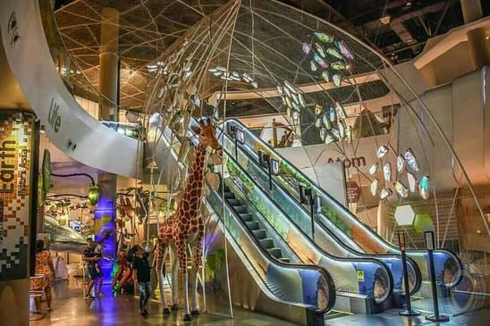 Interactive Museums in the Philippines Perfect for Families and Barkadas