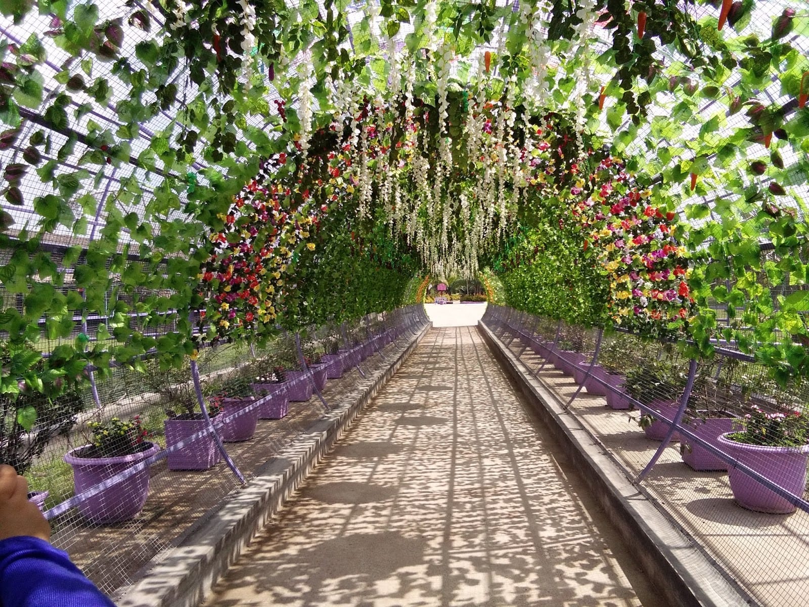 6 Tempat Wisata Di Jambi Paling Populer