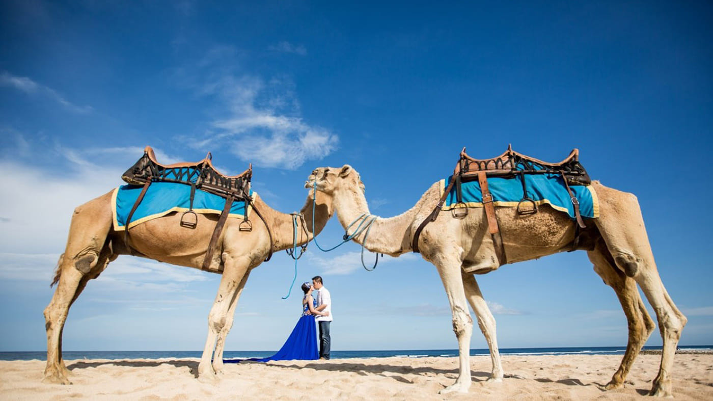Spot Foto Bagus buat Pre-wedding di Indonesia